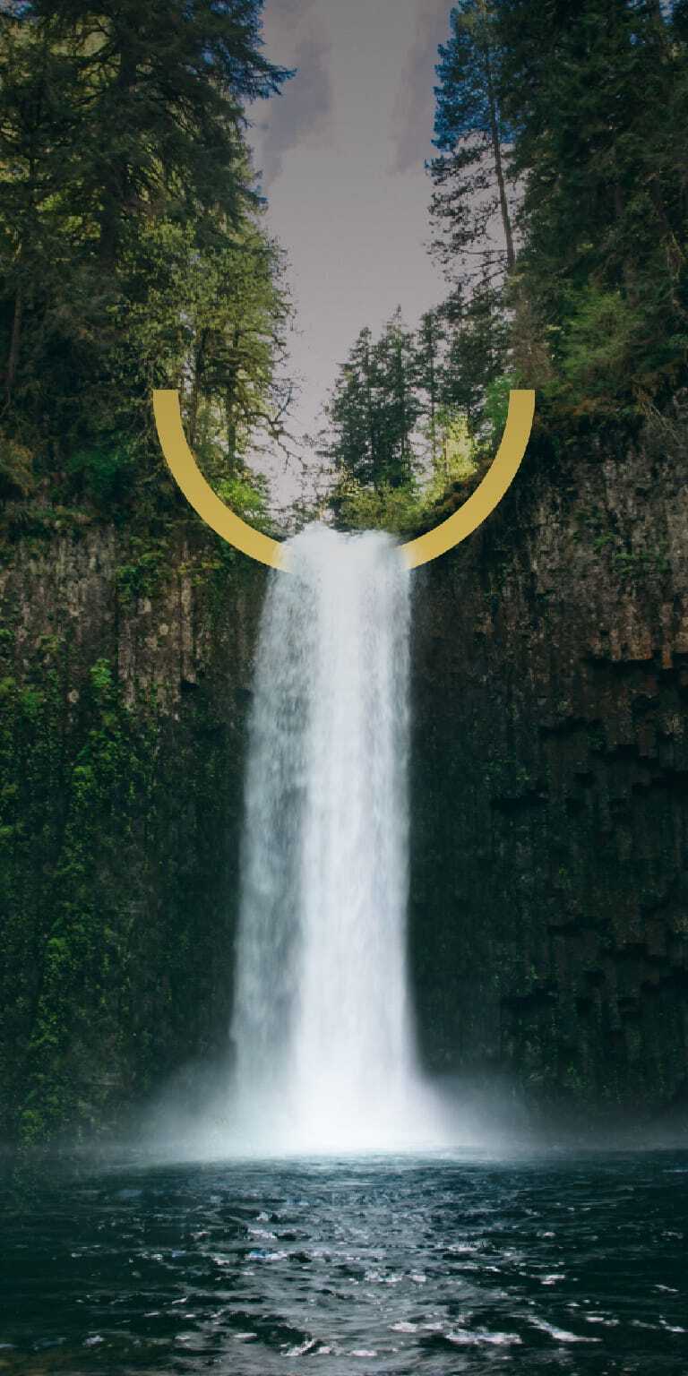 Nomentia | Unparalleled Cash & Treasury Management Solutions