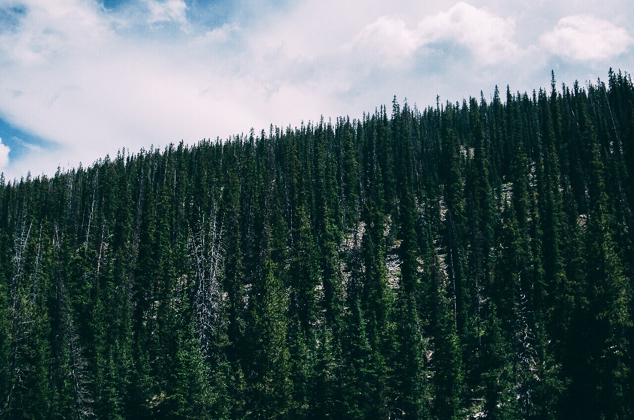 How does physical cash pooling & target balancing work with a TMS?