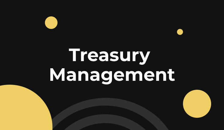 Nomentia Treasury Management | Streamline all your treasury processes